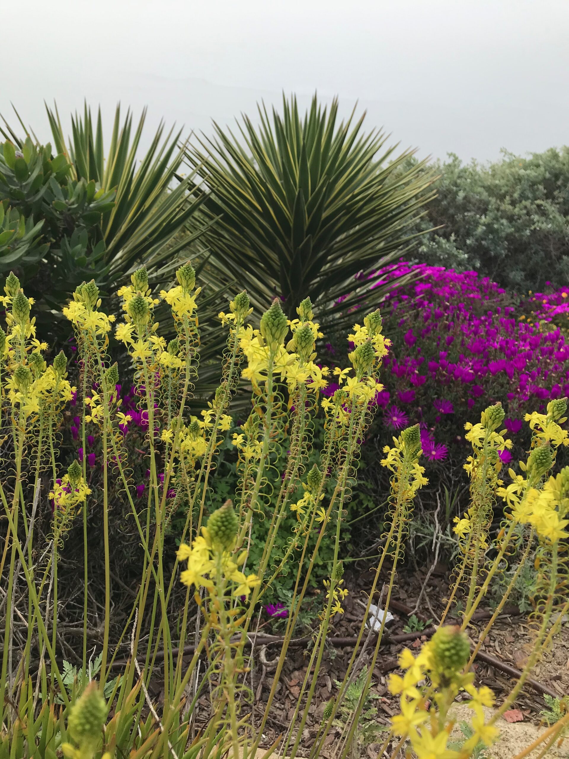 The Magic of Triggers - Energy Healing With Colleen McCann